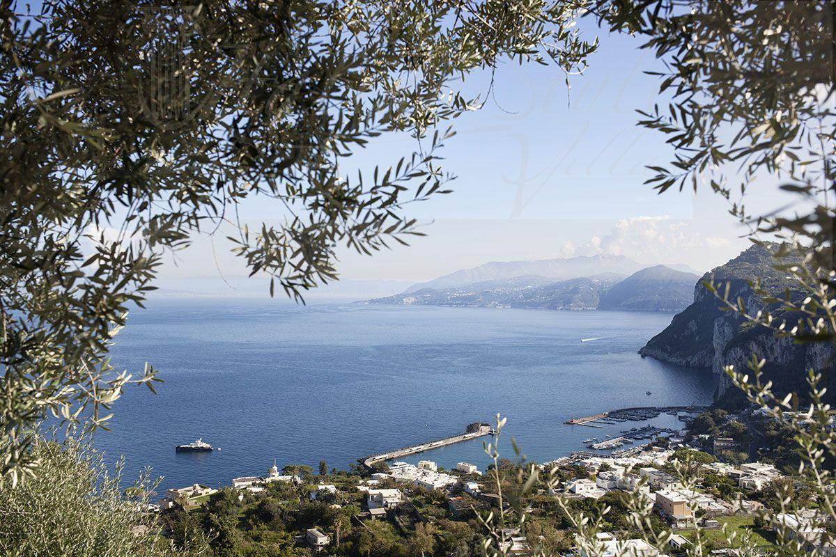 Rent a Villa in Capri - Italian Style Villas - A selection of finest ...